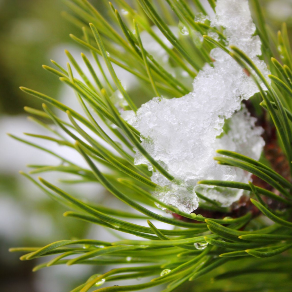 Eggar’s School - Snow Day Photography Challenge
