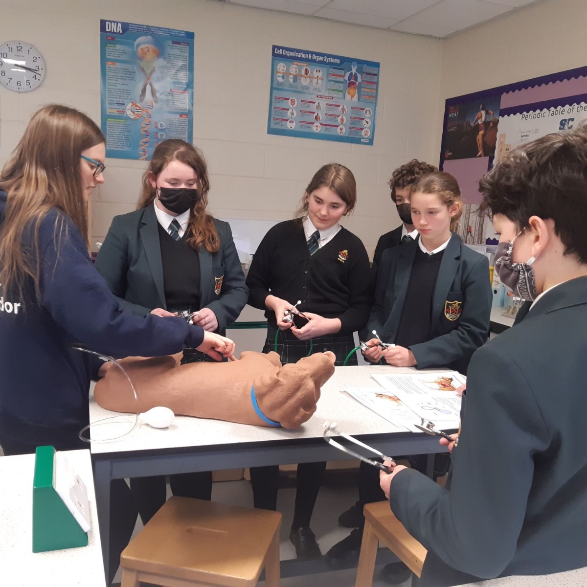 Eggar’s School - Eggar's Experience Extra