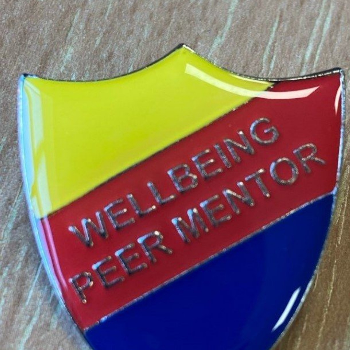 Eggar’s School - New Peer Mentors